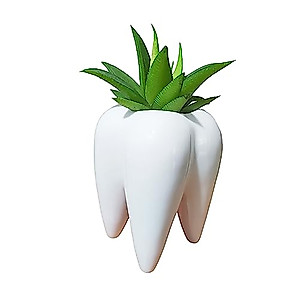 3.93 Inches Tall Tooth Shaped Ceramic Succulent Cactus Vase Flower Pot (Plants Not Included)