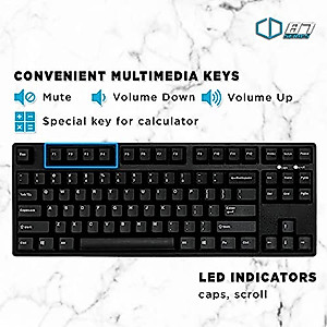 ikbc CD87 V2 Ergonomic Mechanical Keyboard with Cherry MX Red Switch for Windows and Mac, Tenkeyless Keyboard Upgraded with Mistel PBT Double Shot Keycaps for Desktop and Laptop, Solid Build Quality