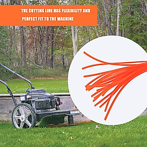 490-040-C035 Replaces 731-10080 and 734-0112 Trimmer Lines，Compatible with Cub Cadet and Remington Walk-Behind Wheeled String Trimers. Includes 20 pre-cut .155 in. dia. x 18.5 in. long trim lines.