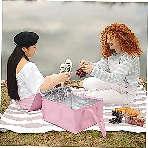 Mobestech Insulated Bag Packing cake insulation bag insulated bag for cake insulated food bag food insulated bag for milk tea food bag for cake food bag seafood Non-woven bags Catering Bag