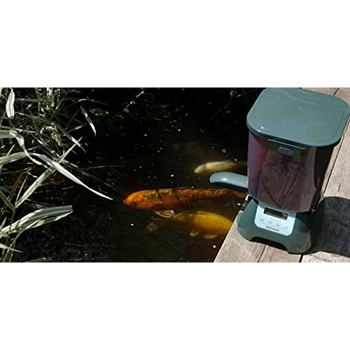 Fish Mate P7000 Large Capacity, Rain-Resistant Pond Fish Feeder