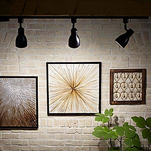 EcoSmart 75-Watt Equivalent R20 Dimmable LED Light Bulb (Bright White, 3-Pack)