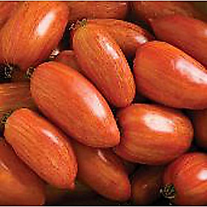 Speckled Roman Tomato Seeds (20+ Seeds) | Non GMO | Vegetable Fruit Herb Flower Seeds for Planting | Home Garden Greenhouse Pack