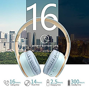 LOBKIN Over Ear Headphones with Microphone, Stereo Hi-Fi Sound Noise Cancelling Headphones, Portable FM Radios TF Foldable Headsets Wireless Bluetooth Headphones (Powder Blue)