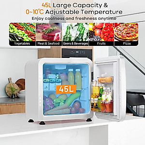 LDAILY Compact Refrigerator, 1.6 cu ft Mini Fridge with Adjustable Temperature 32℉ to 50℉, Auto Defrost, Reversible Door, Removable Glass Shelves, Small Fridge for Dorm, Garage or Office (White)