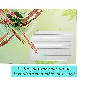 WOWPAPERART Orchid Flower - 3D Pop Up Greeting Card For All Occasions - Love, Birthday, Christmas - Blank Inside for Personalized - Thick Envelope - 5x7 In