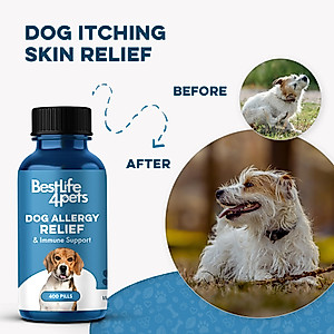 Dog Allergy Relief & Immune Support - Natural Holistic Itch Relief for Dogs, Immune System Guard and Allergy Support, Including Seasonal Allergies, Sneezing, Runny Nose and Itching - 400 Small Pills