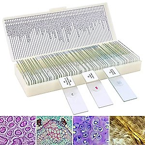 60 Microscope Slides with Specimens for Kids, Prepared Microscope Slides for Kids Microbiology, Prepared Microscope Slides for Adults