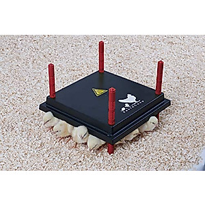 RentACoop Chick Brooder Heating Plate - Brooder Heating Plate Warms Up to 15 Chicks - Chick Heater with 25 Adjustable Heights and 15 Watts - Safer Alternative to Heating Lamps - 10" x 10"