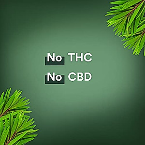 Suave Professionals Suave Conditioner for Oily Hair Tea Tree Hemp Seed Oil Paraben Free 12.6 oz