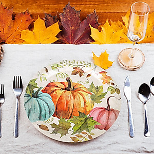 AnyDesign 40Pcs Thanksgiving Fall Paper Plates Watercolor Pumpkins Round Disposable Plates Retro Pumpkin Harvest Design Plates for Fall Theme Party Holiday Banquet Dinnerware Supplies