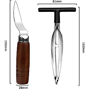 2 PCS Coconut Opener Tool Set Coconut Meat Remover Stainless Steel Coconut Opener Scraper Knife Coconut Punch Tool with Durable Non-Slip Wooden Handle Scraper