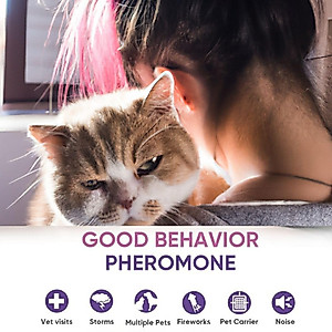 Advanced Pheromone Cat Calming Diffuser - Plug-in & Refill Combo ( 30 Day Starter Kit) for Serene Homes. Minimize Stress, Scratching, anxiety, and Spraying - Ideal for Single & Multi-cat homes.