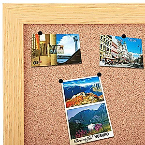 100 PCS Push Pins,Thumb Tacks, Board Pins for Cork Board, Push Pins for School, Office, Map, Photo Wall, Cork Board Bulletin Board(Black)