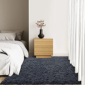 HOMBYS Soft Area Rug for Living Room 8x10 Feet, Fluffy 2.4" Plush Indoor Carpets for Kids Girls Bedroom Nursery, Ultra Large Shaggy Furry Home Decor