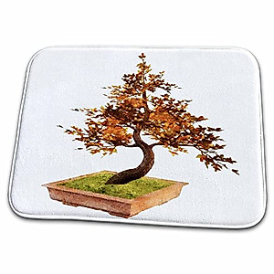 3dRose Boehm Graphics Bonsai - Autumn Bonsai in a square container - Dish Drying Mats (ddm-127549-1)
