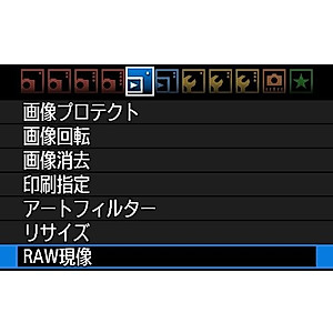 Canon Digital SLR Camera EOS 60D with EF-S18-55mm / EF-S55-250mm Lens Kit - International Version