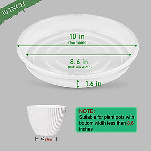 SupKing 6 Pack Plant Saucers Drip Tray,6 8 10 12 14 Inch Heavy Sturdy Plastic Flower Pot Saucers for Indoor,Clear Plastic Planter Water Tray for pots Base (10'')