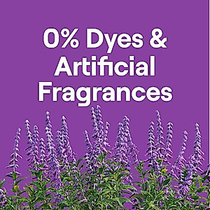 Seventh Generation Concentrated Laundry Detergent, Stain Fighting Formula, Fresh Lavender scent, 40 oz (53 Loads)