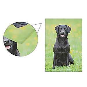 Hokkien Black Labrador Retriever Dog Garden Flag Double Sided 12 x 18 Inch, Yard Flags, Decorative Small Garden Flags, Outdoor Lawn and Garden Décor