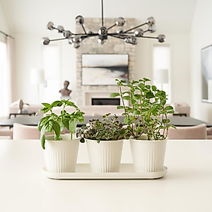 KIBAGA Beautiful Herb Garden Planter Indoor Set of 3 - Perfect for Any Kitchen Window Sill or Countertop - A Modern Decor Gardening Planter Kit Incl. Tray & Drainage Holes to Grow Fresh Herbs at Home