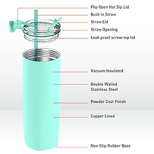 asobu Aqualina Stainless Steel Insulated Water Bottle with Interchangeable Hot and Cold Lid and Built in Straw (Mint)