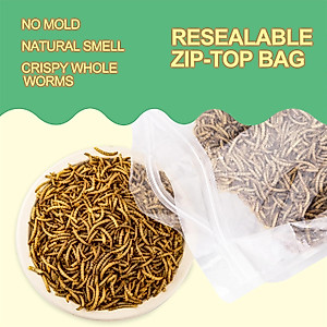 RANZ 2LBS Non-GMO Dried Mealworms for Chickens, High Protein Meal Worms, Premium Chicken Feed, Whole Large Mealworms for Wild Birds, Ducks, Fish