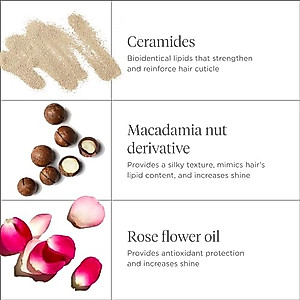 Briogeo Don't Despair, Repair! Strengthening Treatment Oil, Hair Oil Treatment for Dry, Damaged Hair, Helps Seal Split Ends, Enhances Shine, Hydrates, Nourishes, Vegan, Cruelty-Free, 1 fl oz