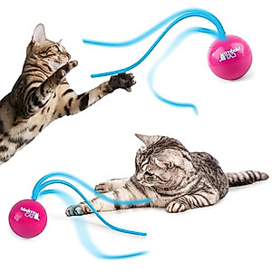 ALL FOR PAWS Interactive Cat Ball Toy