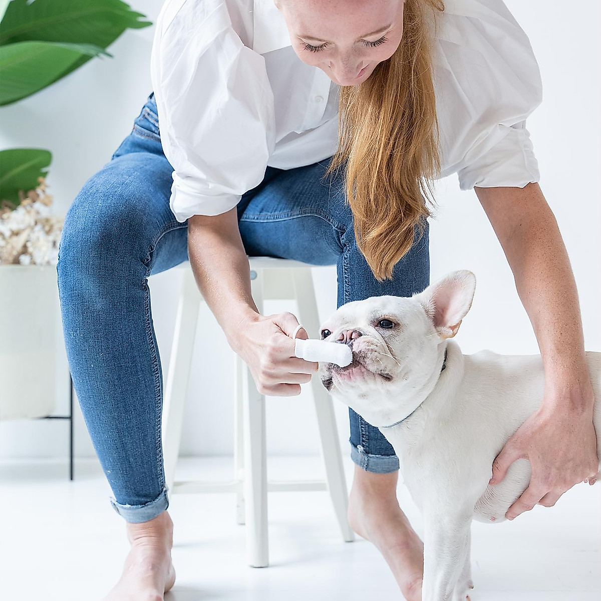 Petosan Microfiber Fingerbrush Oral Cleaner, 10-Pack