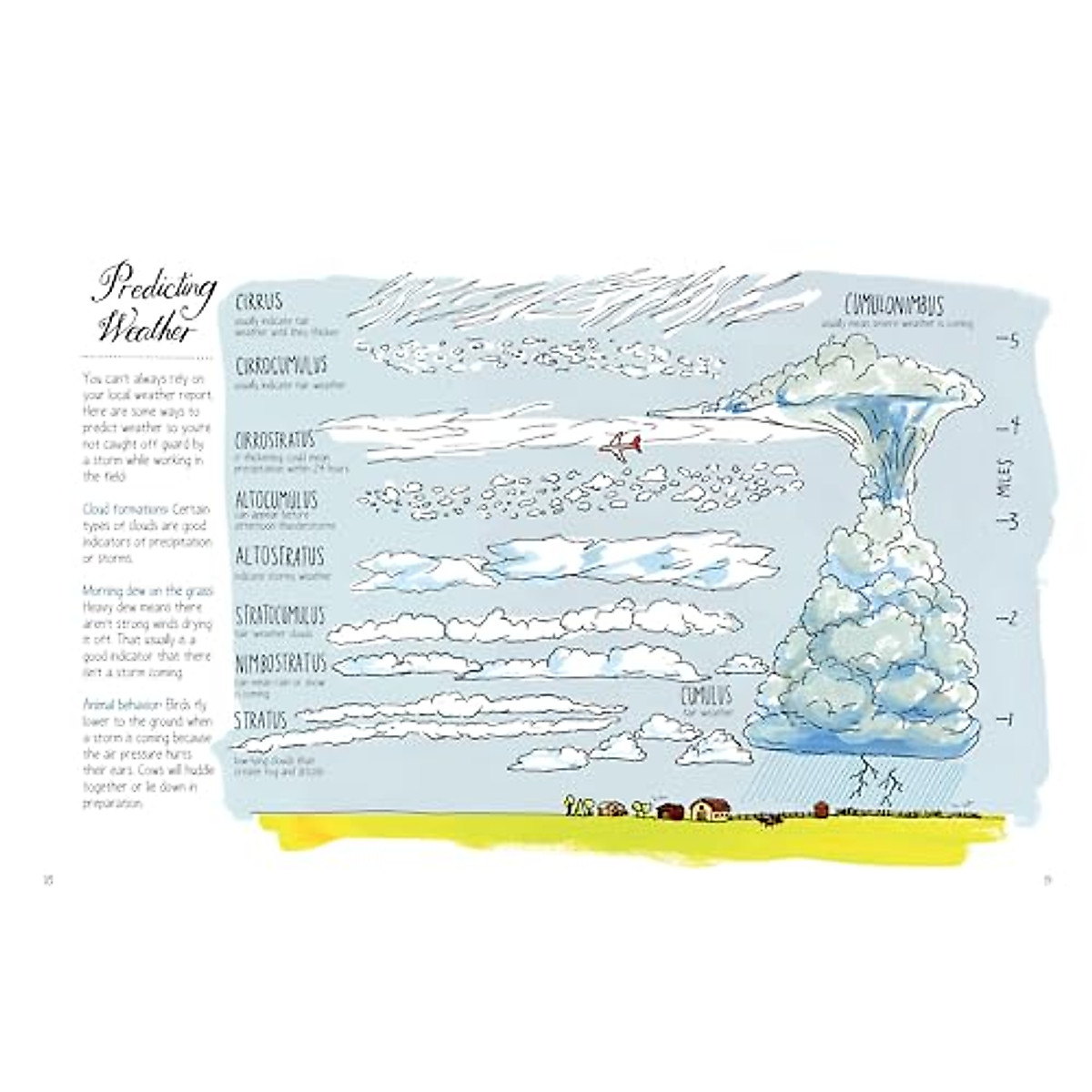 Farm Anatomy: The Curious Parts and Pieces of Country Life