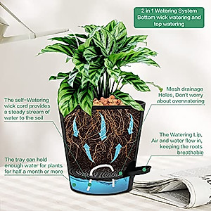 6 Inch Self Watering Plastic Planters, Warmplus Plant Pots for Indoor Outdoor with Drainage Holes, Watering Wick, Watering Lip for Snake Plant, African Violet, Aloe, and Most House Plants 6-Pack Black