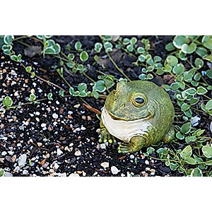 Evergreen Cute Portly Frog Outdoor Statue and Secret Key Holder | Weatherproof and Outdoor Safe | Garden Sculpture | Porch Garage or Patio Home Decor | 6 Inches Tall