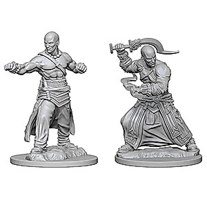 Wiz Kids Pathfinder Battles Deep Cuts Miniatures Bundle: Human Male Monk W1 x2