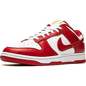 Nike Mens Dunk Low Retro DD1391 602 USC - Size 10