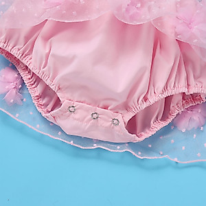 Baby Girls 1st Birthday Outfit Heart Lace Romper Flower Tutu Princess Dress with Tulle Skirt Sleeveless Backless Jumpsuit Sunsuit Playwear Dress Cake Smash Photo Shoot Clothes Pink Flower 18-24 Months