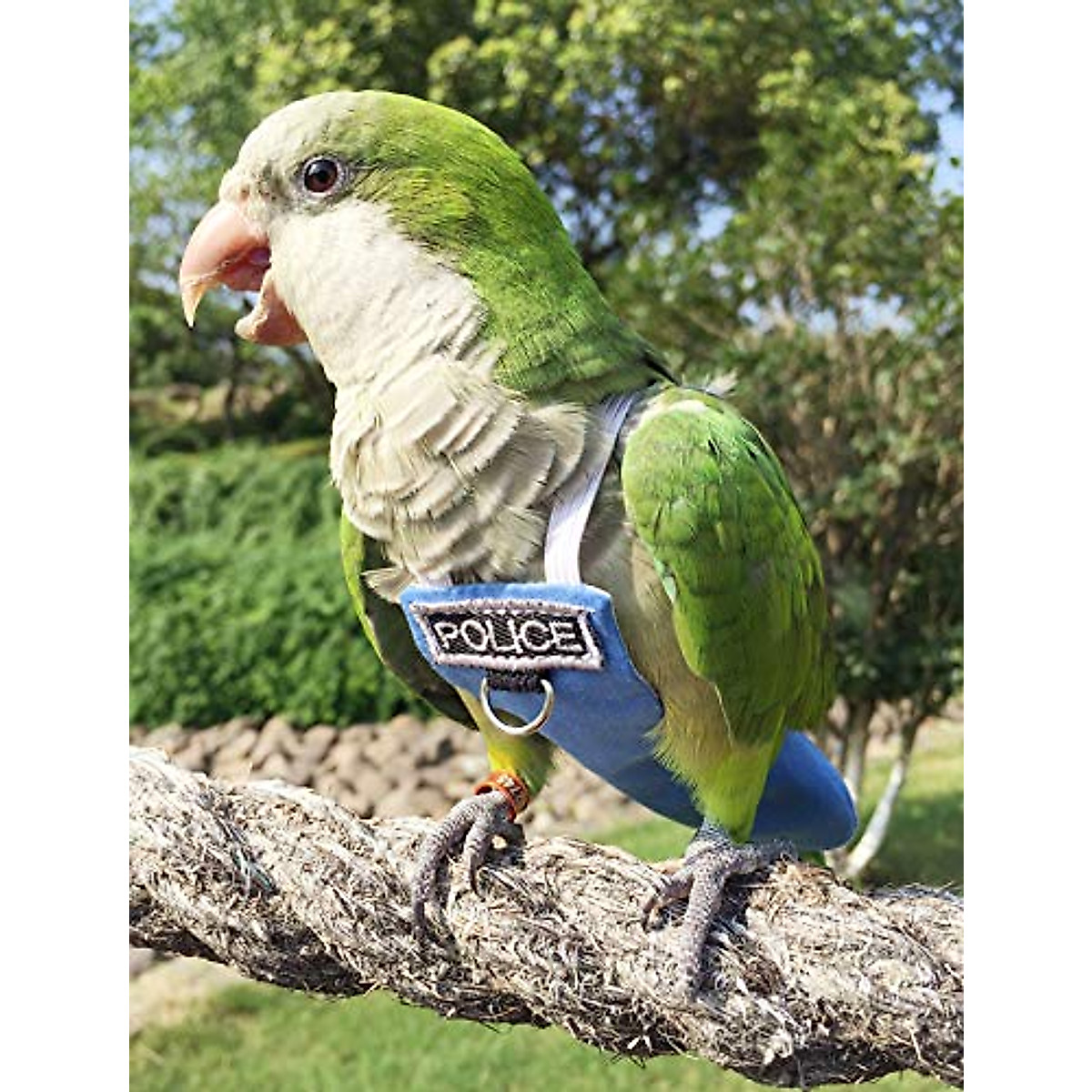 Bird Clothes Parrot Diapers Bird Flight Suits, Reusable Waterproof Diapers pet Bird Supplies Poli(L)