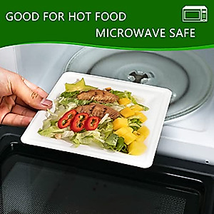 SUT 8-Inch Compostable Paper Plates, 100 PCS Square Biodegradable Bagasse Plates, Heavy-Duty Microwaveable Plates, Eco-Friendly Natural Disposable Plates, Made of Sugarcane Fibers, for Party, Picnic