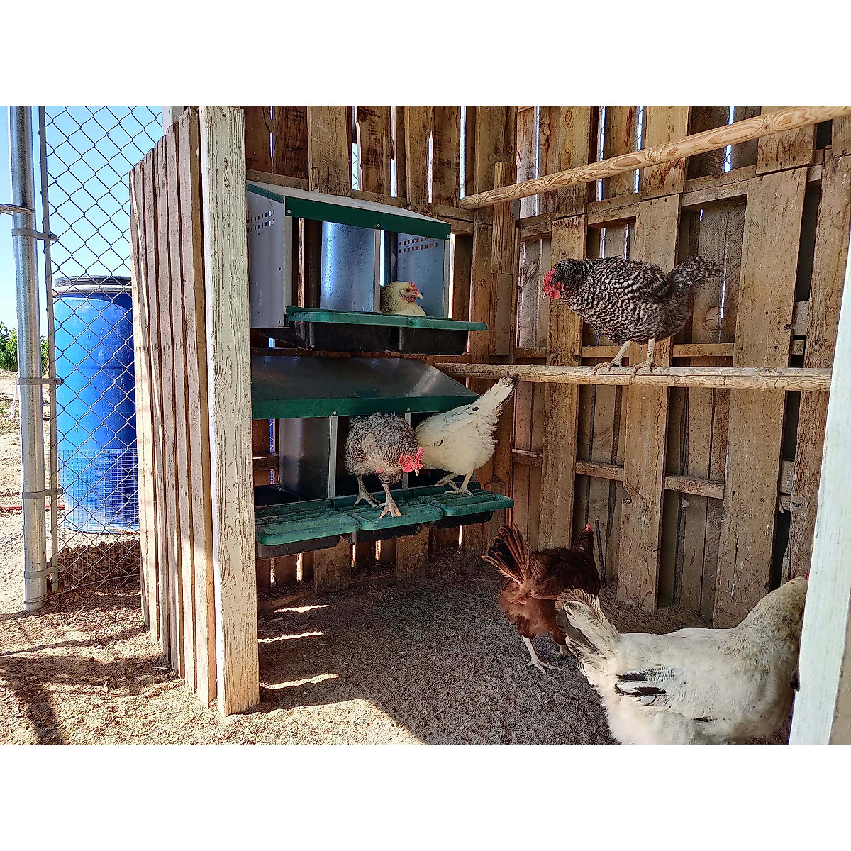 Homestead Essentials 2 Compartment Roll Out Nesting Box for Chickens | Heavy Duty Chicken Coop Nesting Box with Lid Cover to Protect Eggs (with Perch) | for Up to 10 Hens