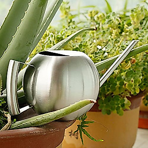 Cabilock 1pc Stainless Steel Shower Flower Spray Bottle Watering Pot for Plant Metal Watering Bucket Flower Gardening Tool Watering Kettle Metal Waterbottle Watering Can Sprinkle Water