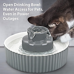 Kenepet Ceramic Cat Water Fountain, 2.1L/71oz Automatic Pet Water Fountain, 3 Filters and 2 Pumps Included, Cat Fountain Ideal for Cats, Dogs and Multiple Pets (Grey)