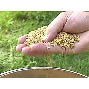 Chase Mole & Gopher Repellant 6 Lbs.