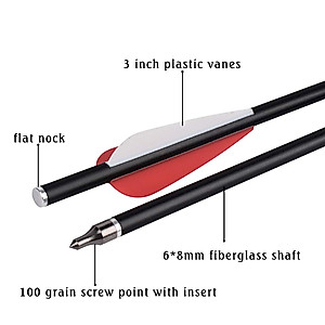 Crossbow Bolts Arrows Fiberglass 14 Inch Hunting Sport Archery Target Arrow with Replaced 100 Grain Points Flat Knocks (Pack of 12)