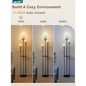 LEDIARY 65" Boho Floor Lamp for Living Room Rattan Floor Lamp with Shelves, 3 LED Bulbs Included Standing Lamp, Floor Lamp for Living Room, Bedroom, Office