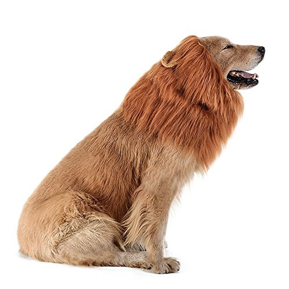 TOMSENN Dog Lion Mane - Realistic & Funny Lion Mane for Dogs - Complementary Lion Mane for Dog Costumes - Lion Wig for Medium to Large Sized Dogs Lion Mane Wig for Dogs