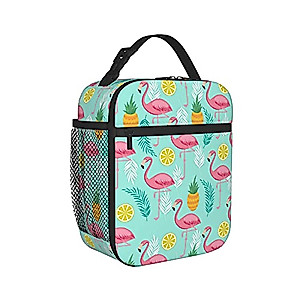 Insulated Lunch Box for Men and Women, Portable and Reusable Lunch Bag for Office Work and Picnic, Flamingo
