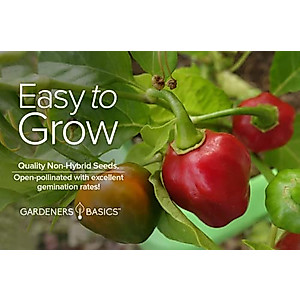 Red Habanero Pepper Seeds for Planting 100+ Heirloom Non-GMO Habanero Peppers Plant Seeds for Home Garden Vegetables Makes a Great Gift for Gardeners by Gardeners Basics