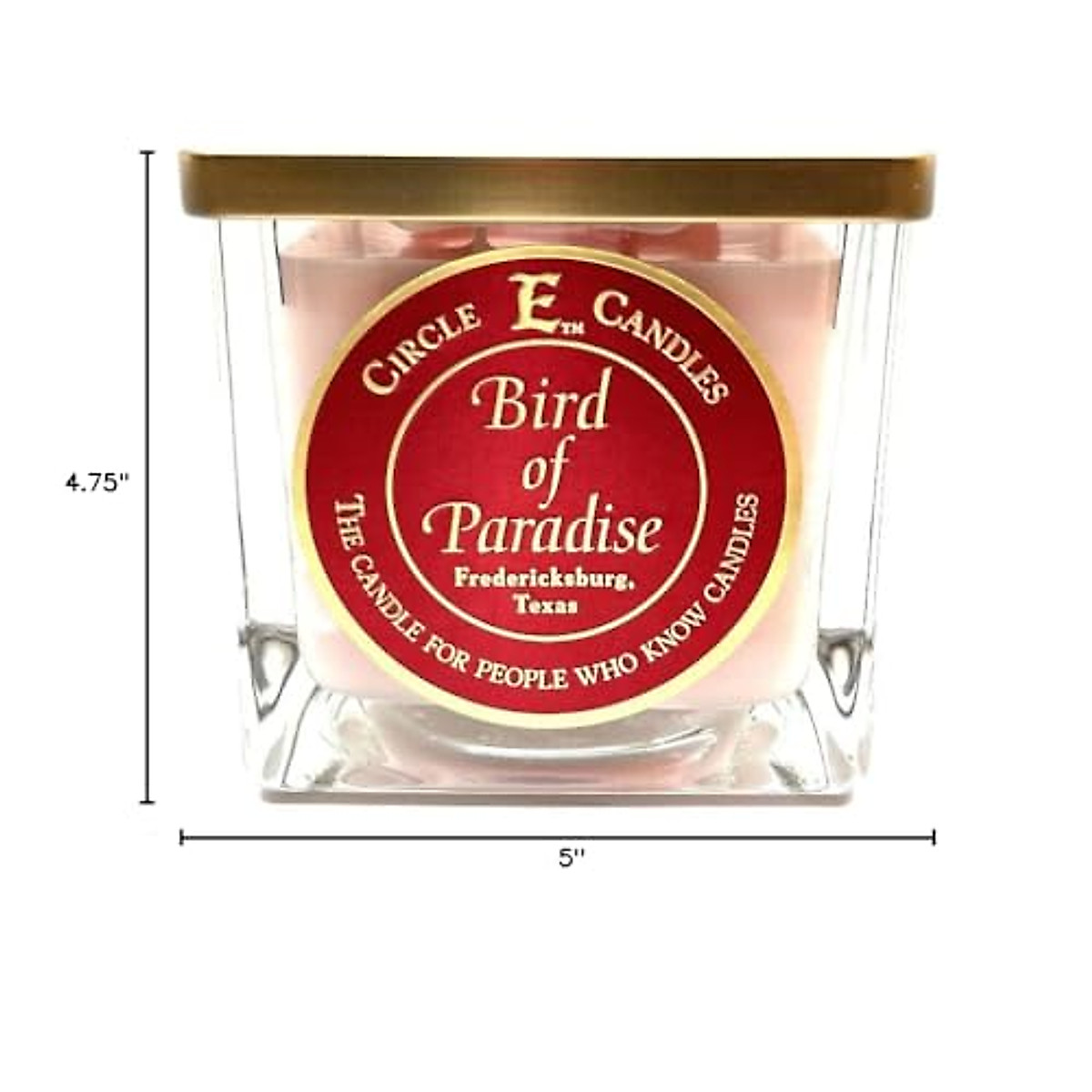 Circle E Candles, Bird of Paradise Scent, Large Size Jar Candle, 43oz, 4 Wicks