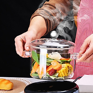 Clear Glass Simmer Pot with Lid - 1.9L/64 FL OZ Heat-Resistant Borosilicate Glass Pot for Cooking on Stove Glass Saucepan for Cooking Potpourri Cookware for Pasta, Soup, Tea, Milk Dishwasher Safe