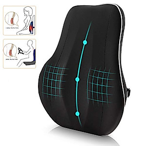 Newgam Lumbar Support Pillow/Back Cushion,Memory Foam Orthopedic Backrest with Breathable 3D Mesh for Car Seat,Office/Computer Chair,Wheelchair and Recliner,Ergonomic Design for Back Pain Relief-Black